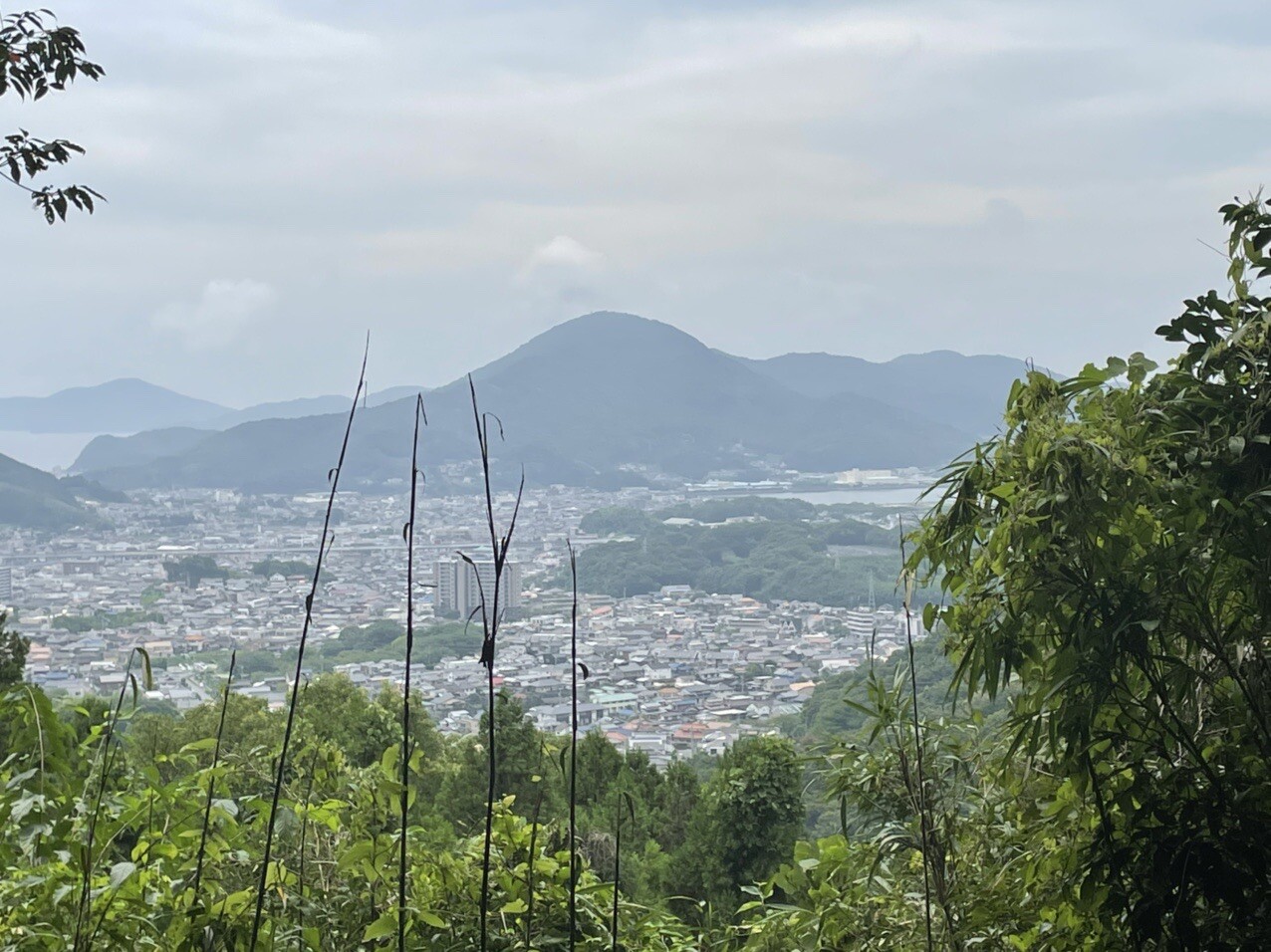 とおの山 11 / masato√1600さんのとおの山・久米天神山の活動データ | YAMAP / ヤマップ