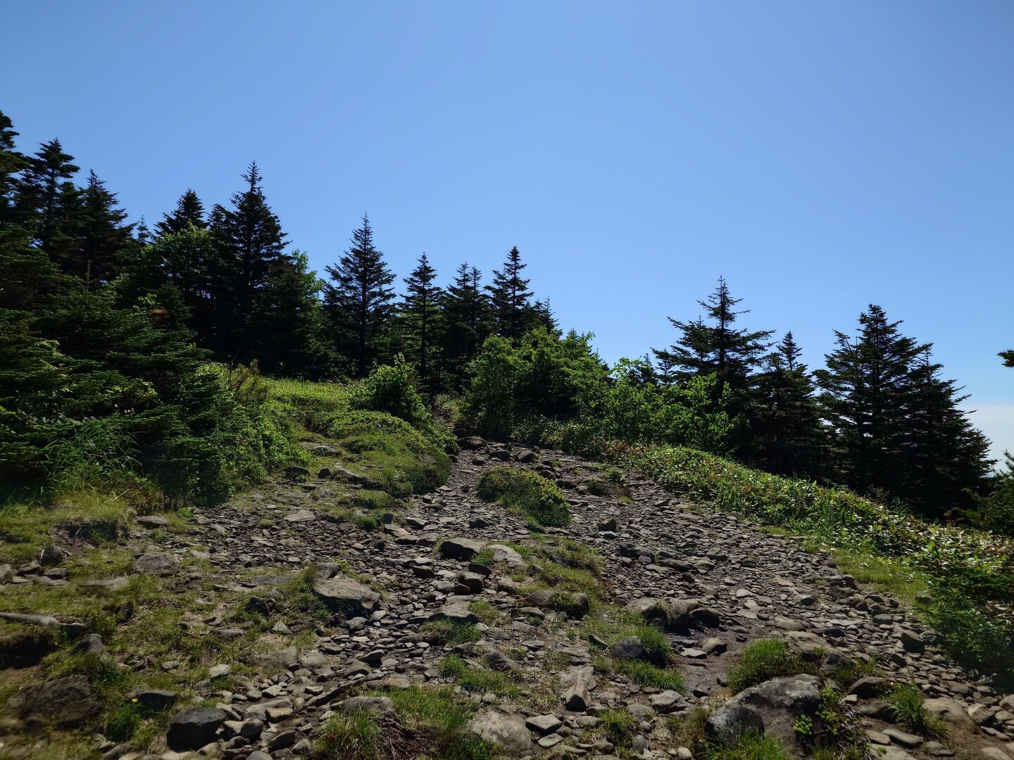 shokusenkiさんの投稿したフィールドメモ | YAMAP / ヤマップ