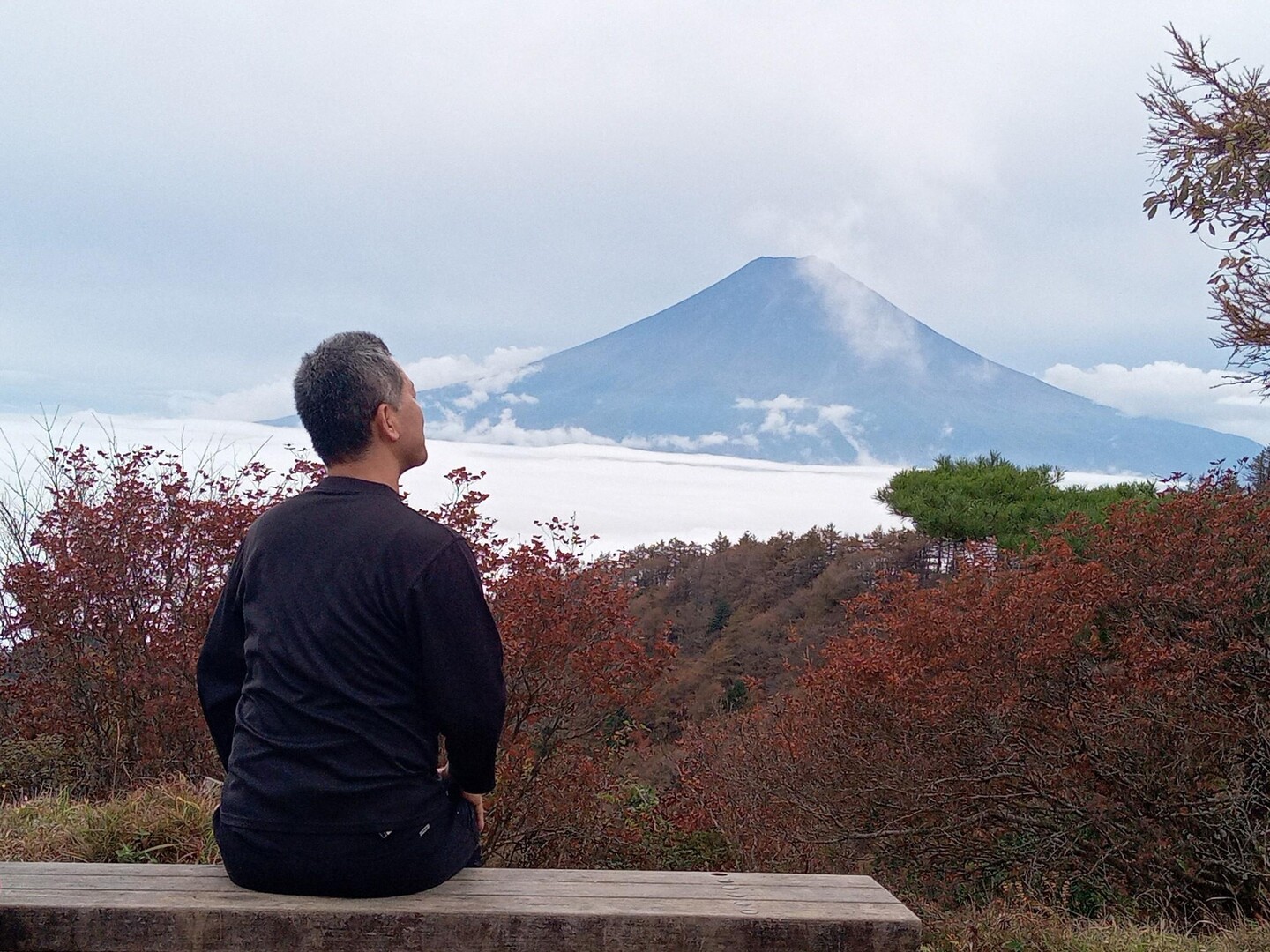 山梨県三ツ峠🏕️登山雲海☁に包まれて🗻-2024-10-26 / masasan🏃東京🗼仕事も遊びも本気です🌟さんの高尾山・陣馬山・景信山の活動データ | YAMAP / ヤマップ