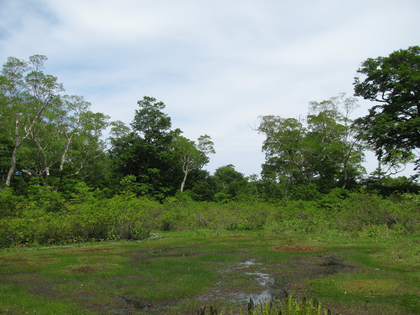 籾糠山（秋）天生峠～頂上～木平湿原周回 / ukonさんの籾糠山の活動データ | YAMAP / ヤマップ