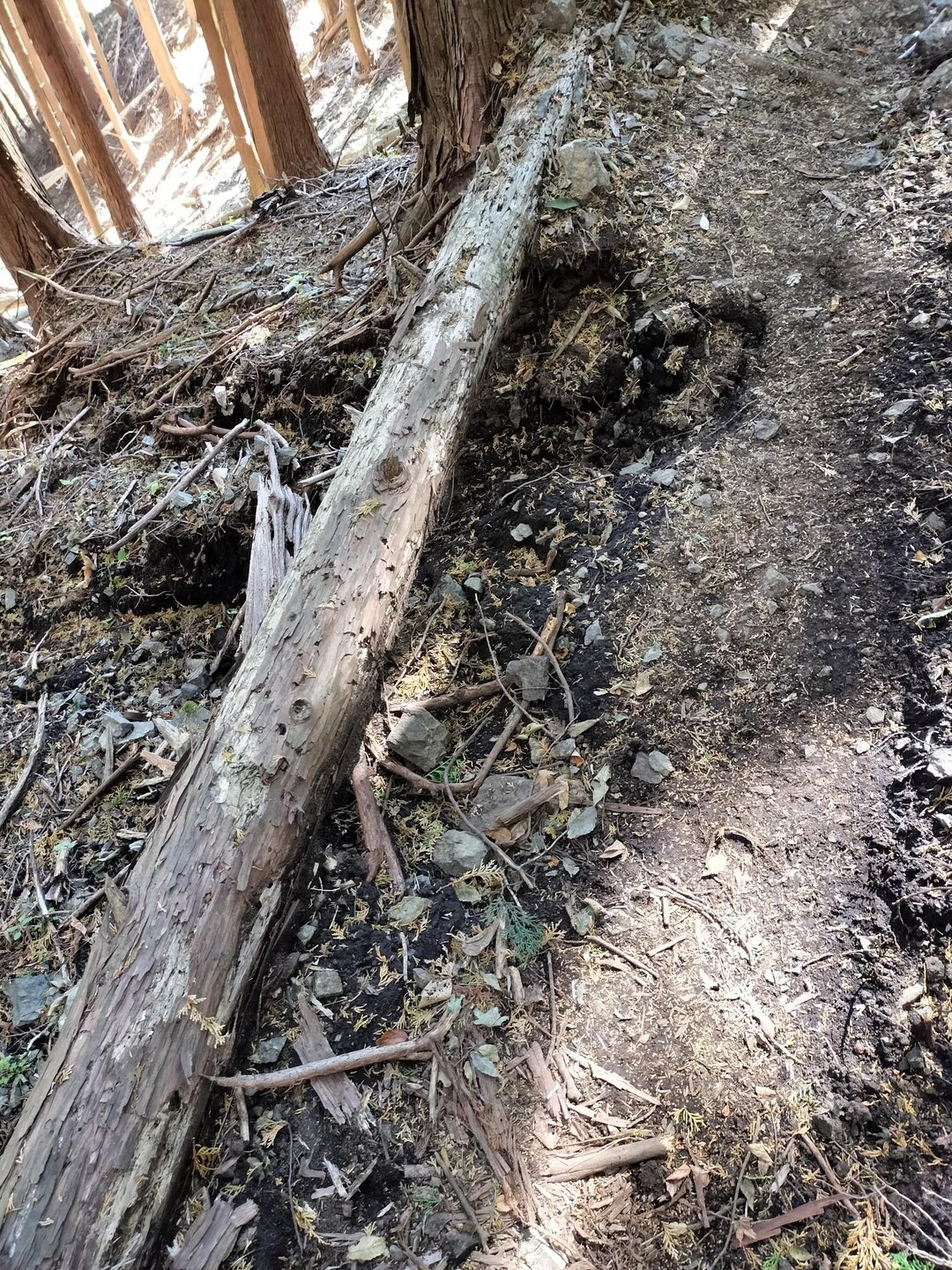 okb_yskさんの投稿したフィールドメモ | YAMAP / ヤマップ