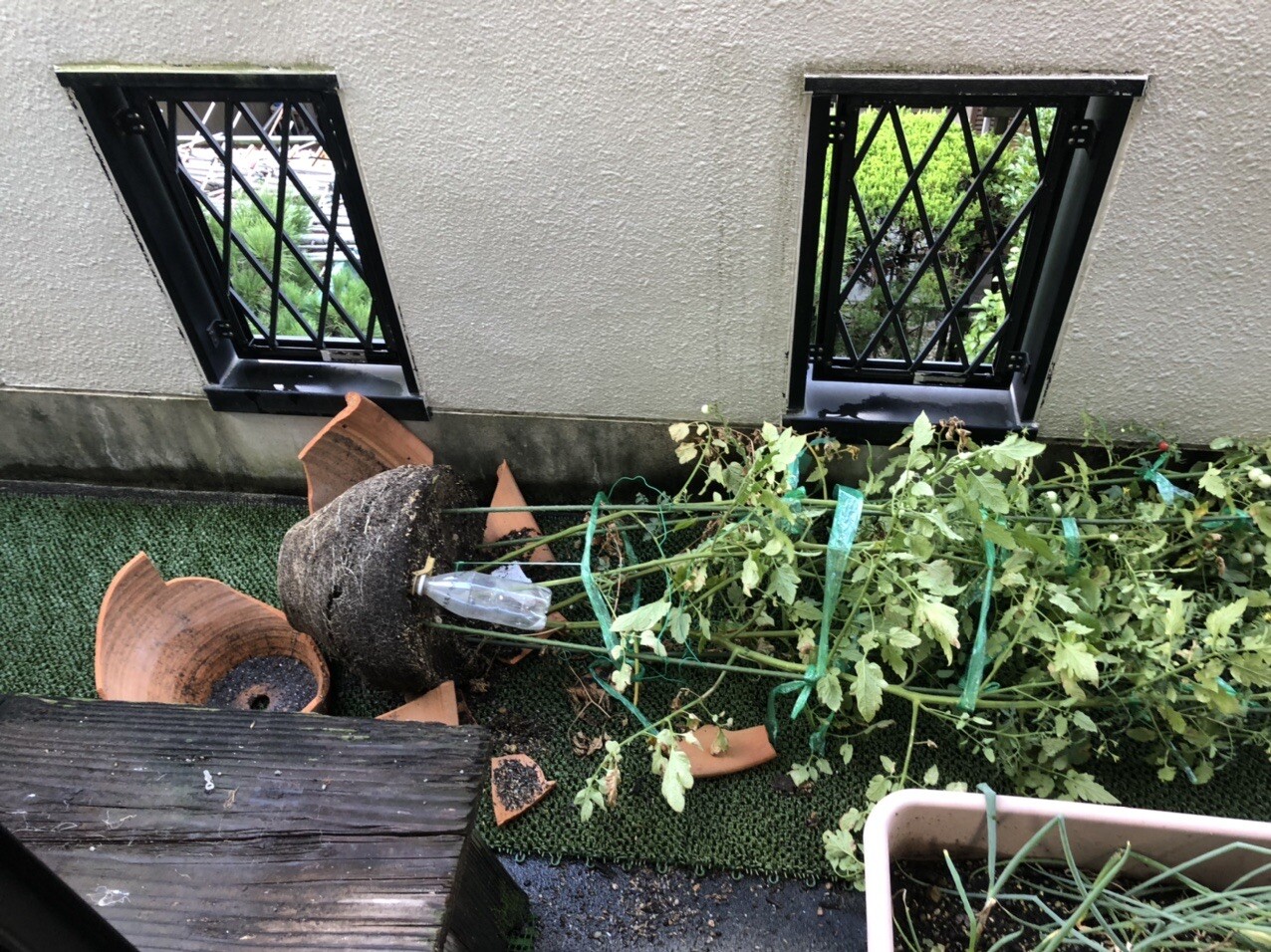台風9号がまもなく到来。 まだ広島県にい... / osamさんのモーメント | YAMAP / ヤマップ