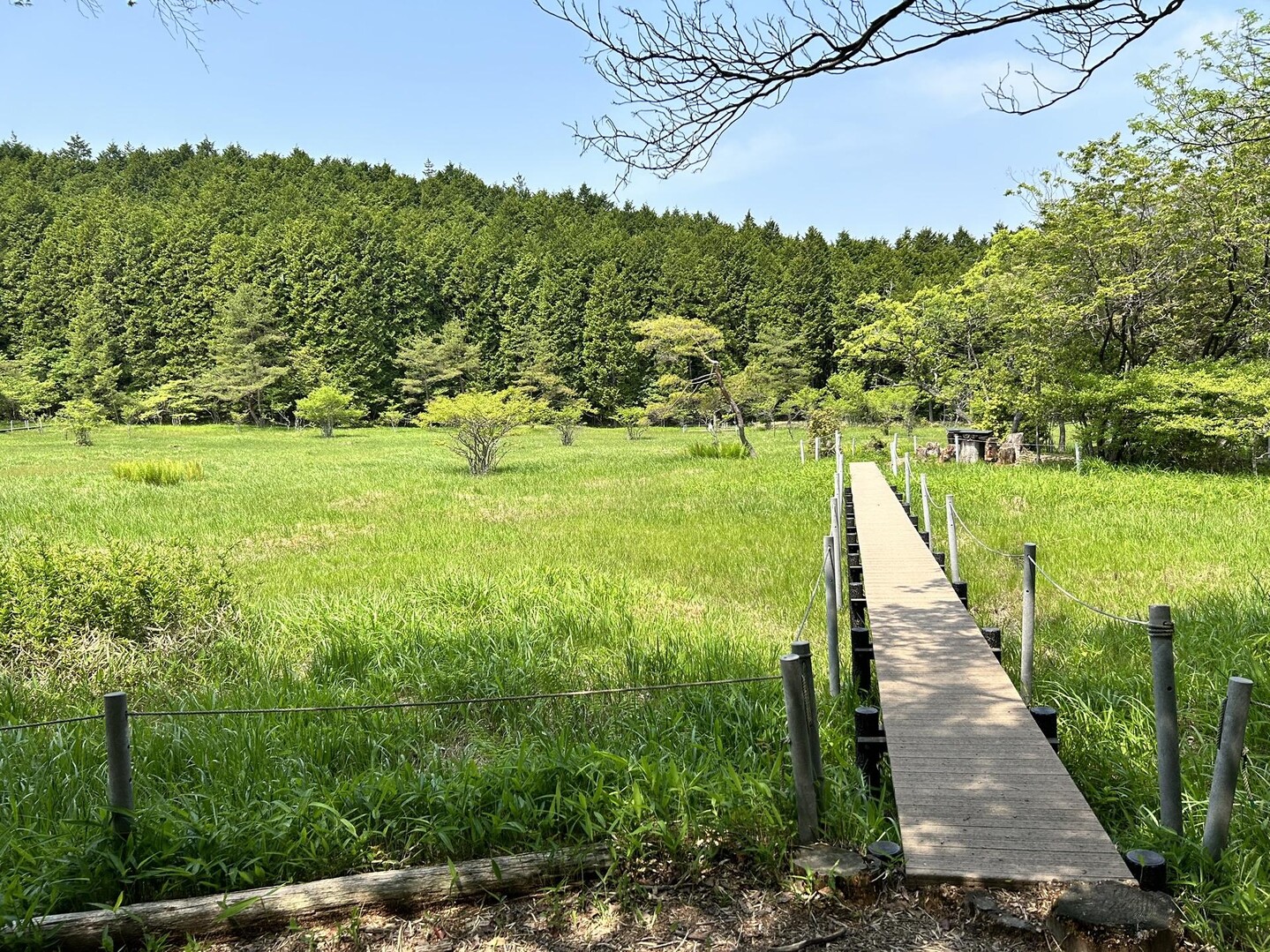 馬の背山・黒の田山・八百山・屏風山・北屏風山 / ayuさんの屏風山の活動データ | YAMAP / ヤマップ