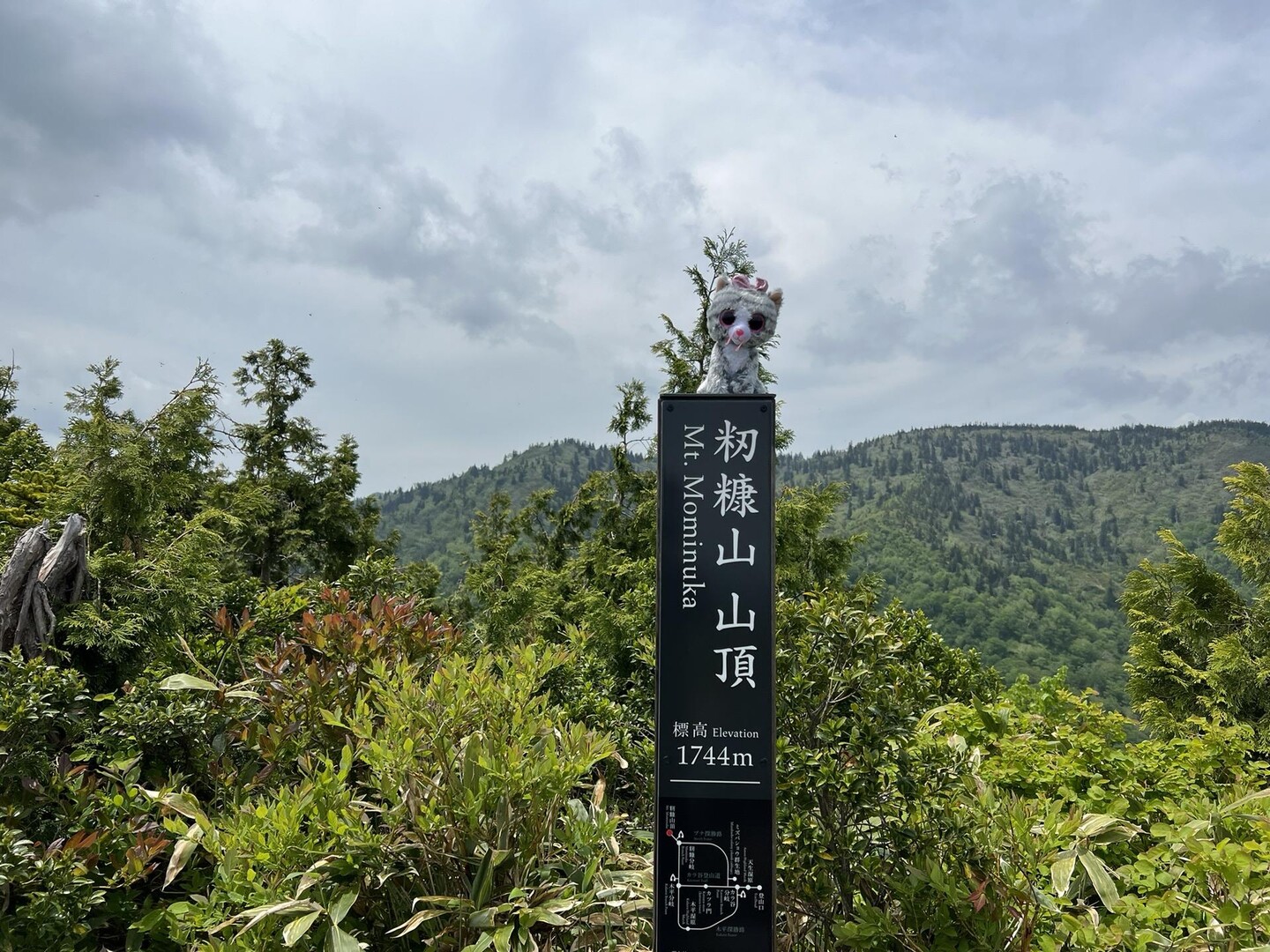 籾糠山 / ISSEIさんの籾糠山の活動データ | YAMAP / ヤマップ