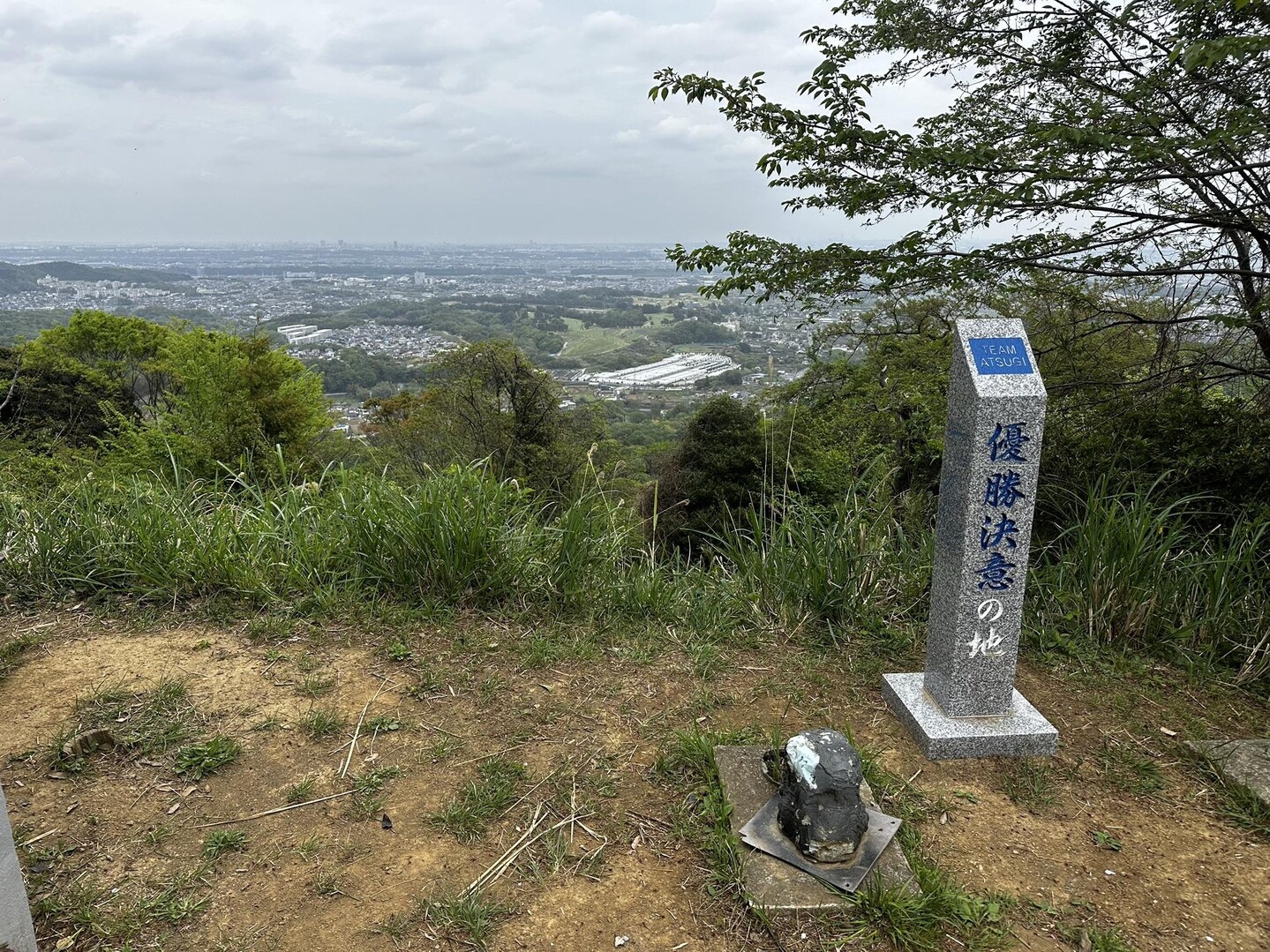 リハビリ坂路調教〜白山・桜山 / Tree Blueさんの大山の活動データ | YAMAP / ヤマップ