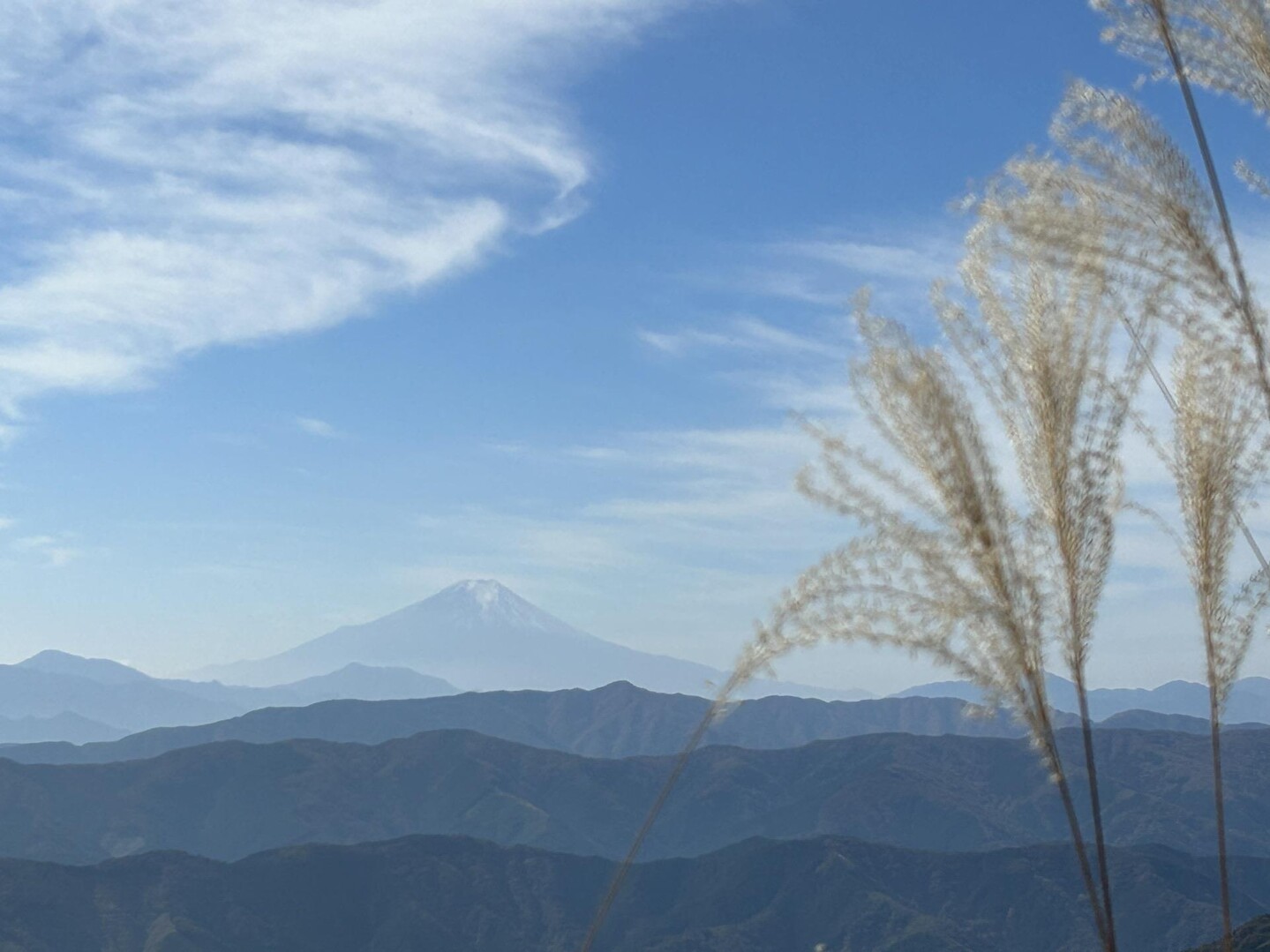 御岳から大岳山ピストン / ANEさんの大岳山・御岳山・御前山の活動データ | YAMAP / ヤマップ
