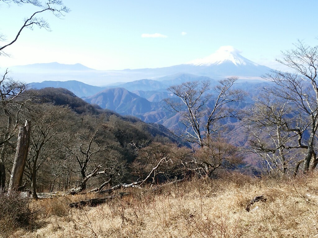 12.6km 檜洞丸～犬越路 / tamiさんの塔ノ岳・丹沢山・蛭ヶ岳の活動データ | YAMAP / ヤマップ