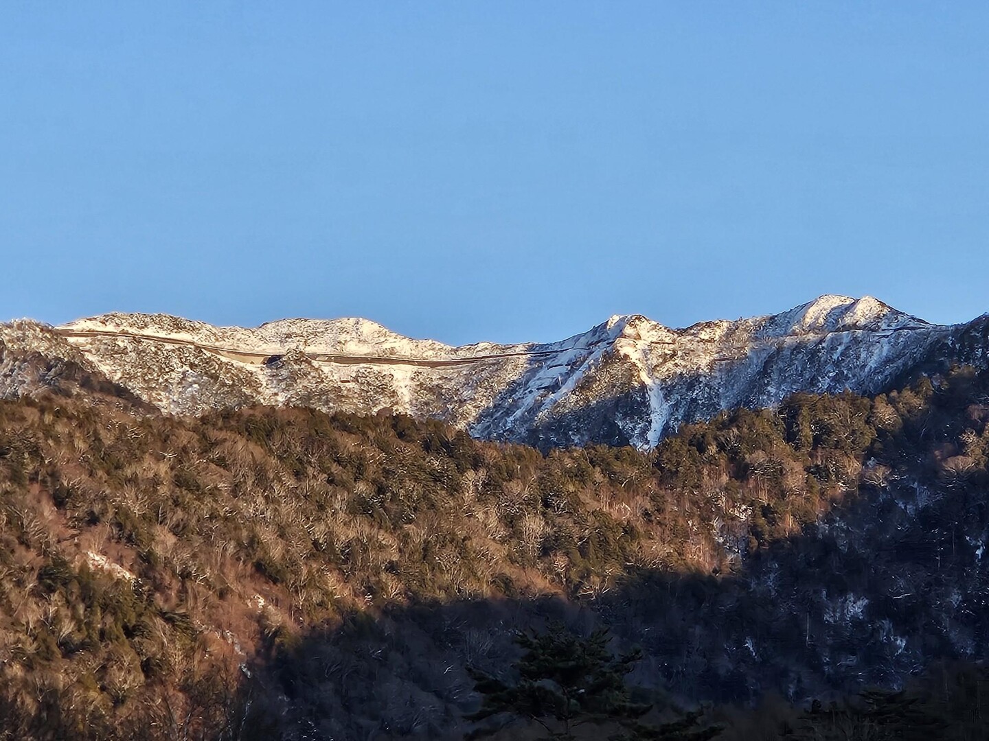 日留賀岳VR撤退事件ꉂ😂 / kiki🐾さんの日留賀岳の活動データ | YAMAP / ヤマップ