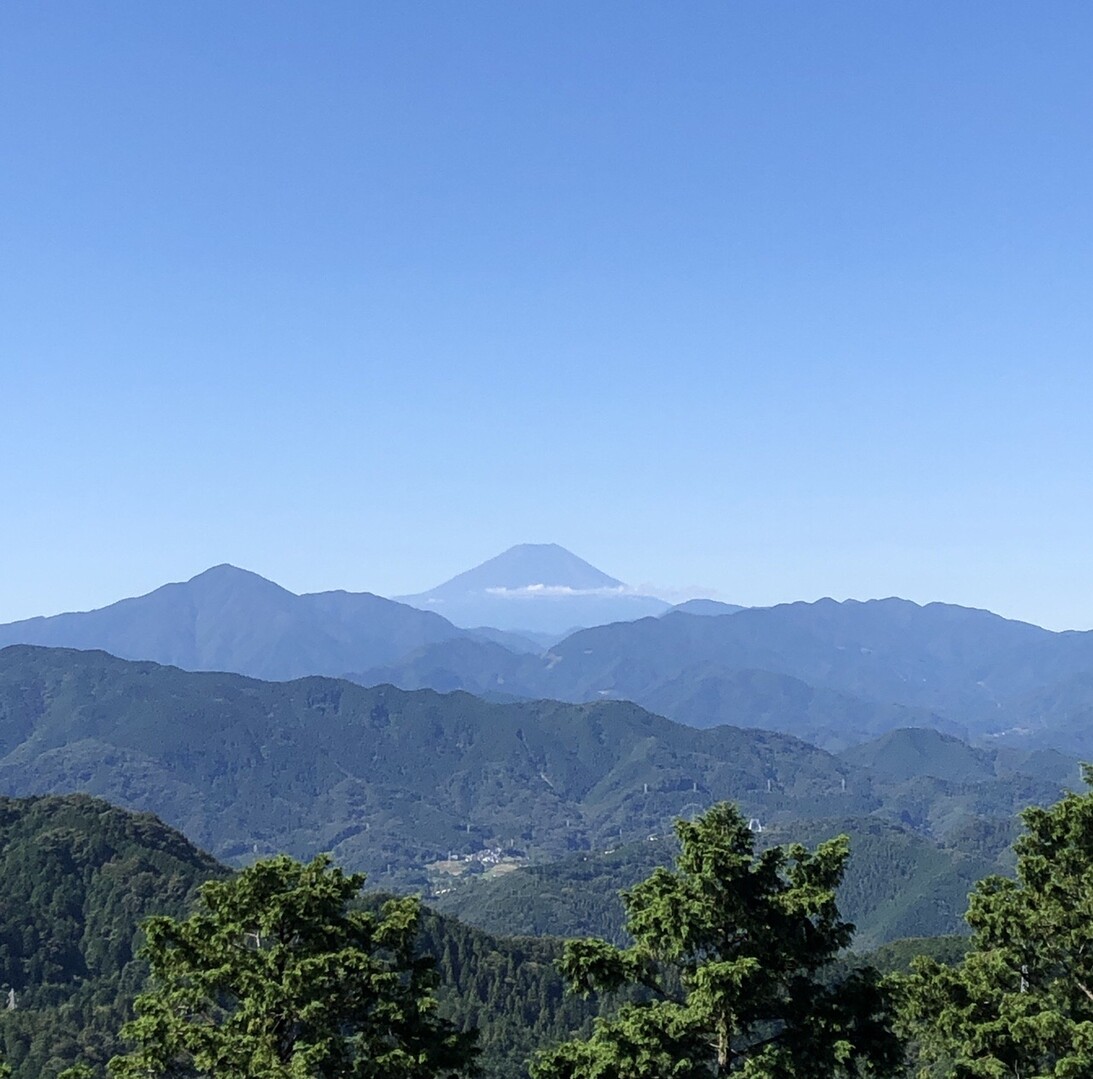 高尾山3号路 / yuu_oさんの高尾山・陣馬山・景信山の活動データ | YAMAP / ヤマップ