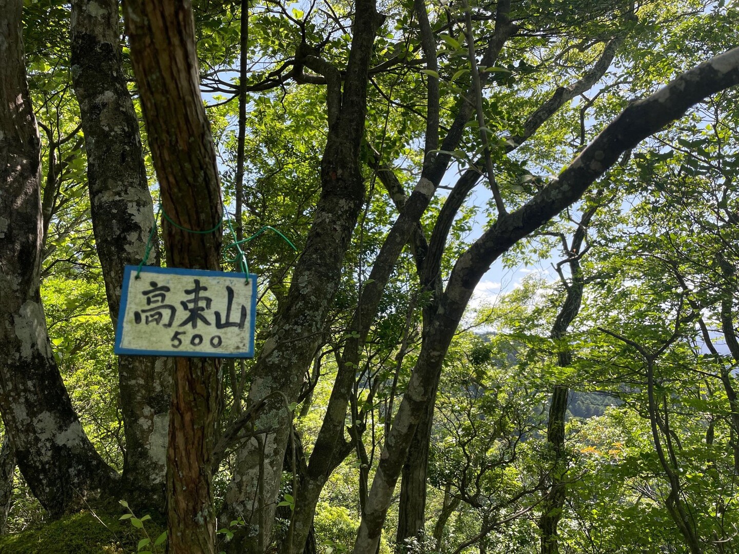 津10山⛰️高束山 / magukoさんの高束山の活動データ | YAMAP / ヤマップ