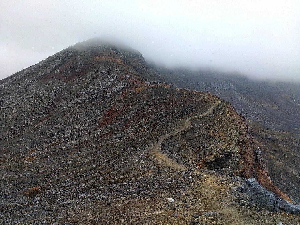 ガスと小雨☔の阿蘇MK🌺高岳・中岳・楢尾岳 / Ycoさんの阿蘇山・高岳・根子岳の活動データ | YAMAP / ヤマップ