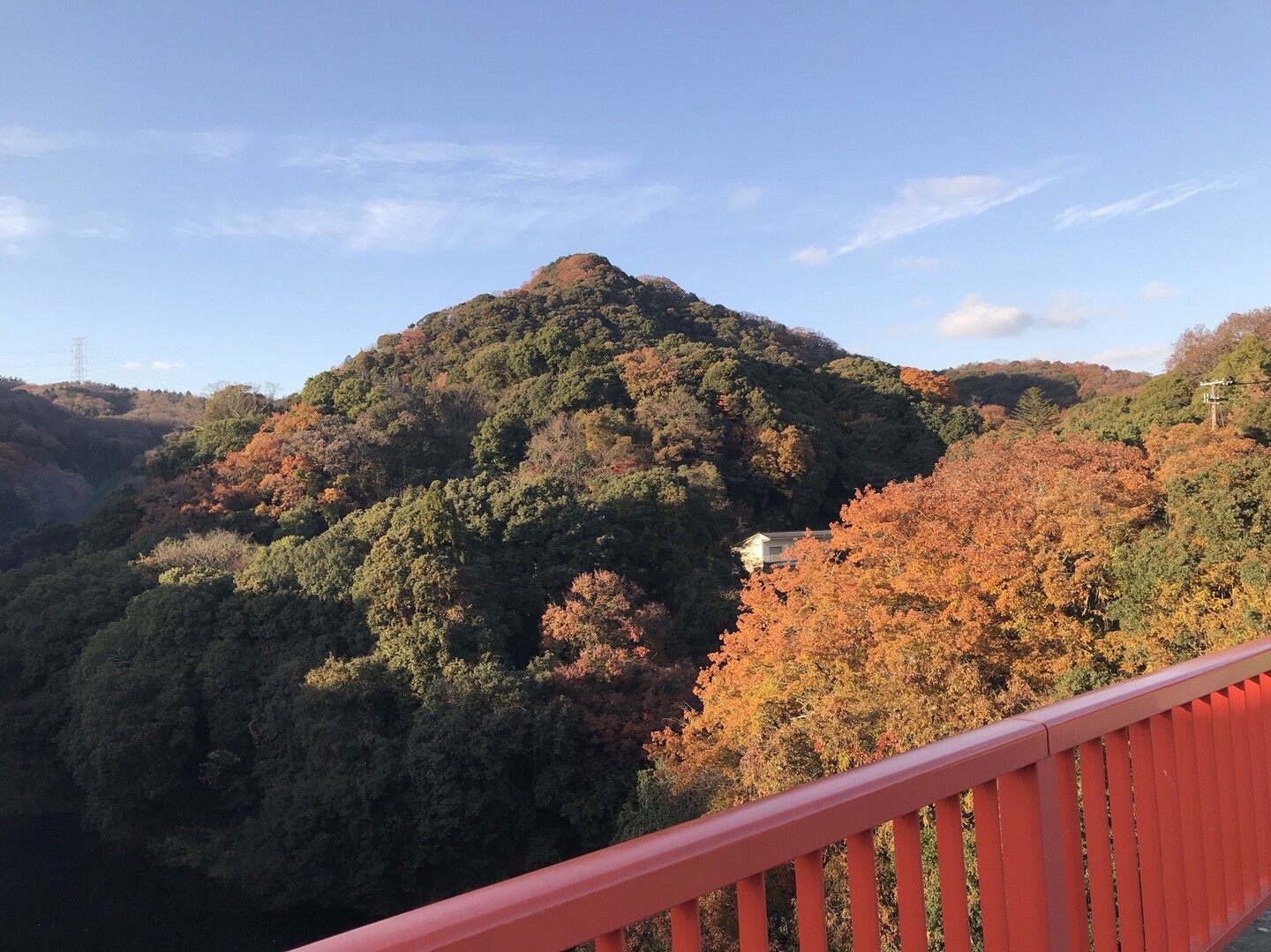 恩智駅〜信貴山 / annpapaさんの生駒山・神津嶽・大原山の活動データ | YAMAP / ヤマップ