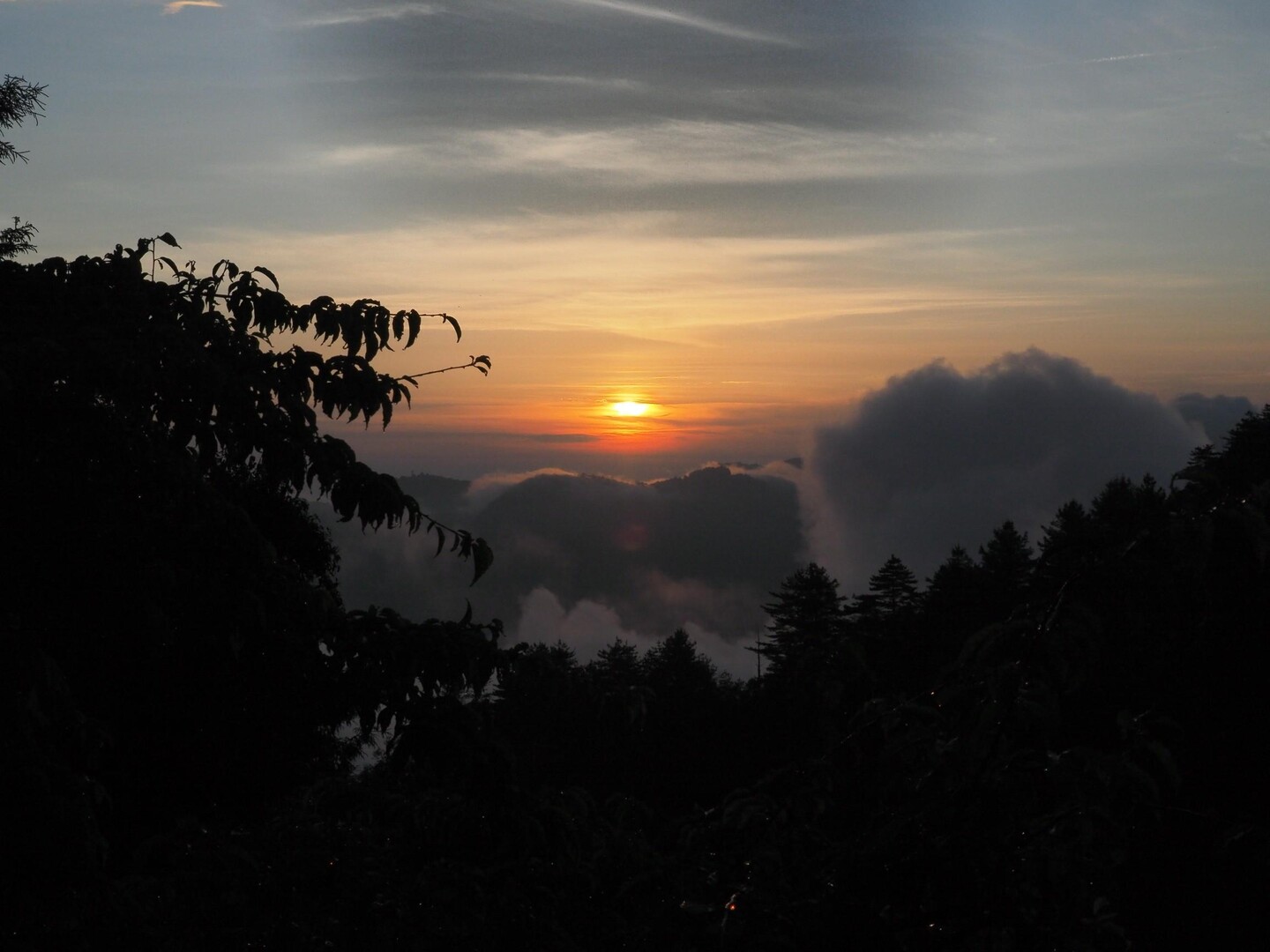 玉山 富士山を超えたい🤩 / ゆういちさんの玉山（台湾）の活動データ | YAMAP / ヤマップ