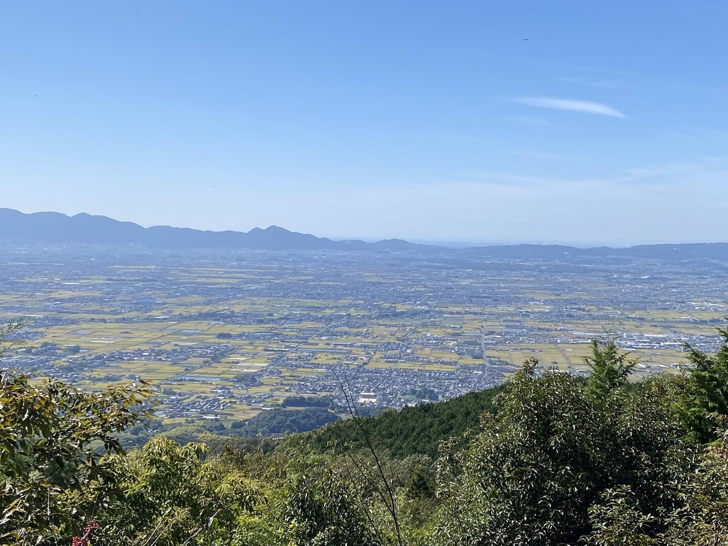 龍王山 / tomoさんの三輪山・巻向山・龍王山の活動データ | YAMAP / ヤマップ