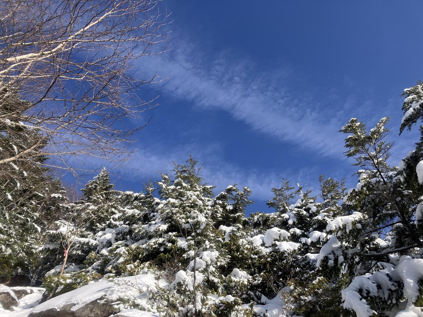 雪の蓼科山 / Westさんの蓼科山・横岳・縞枯山の活動データ | YAMAP / ヤマップ