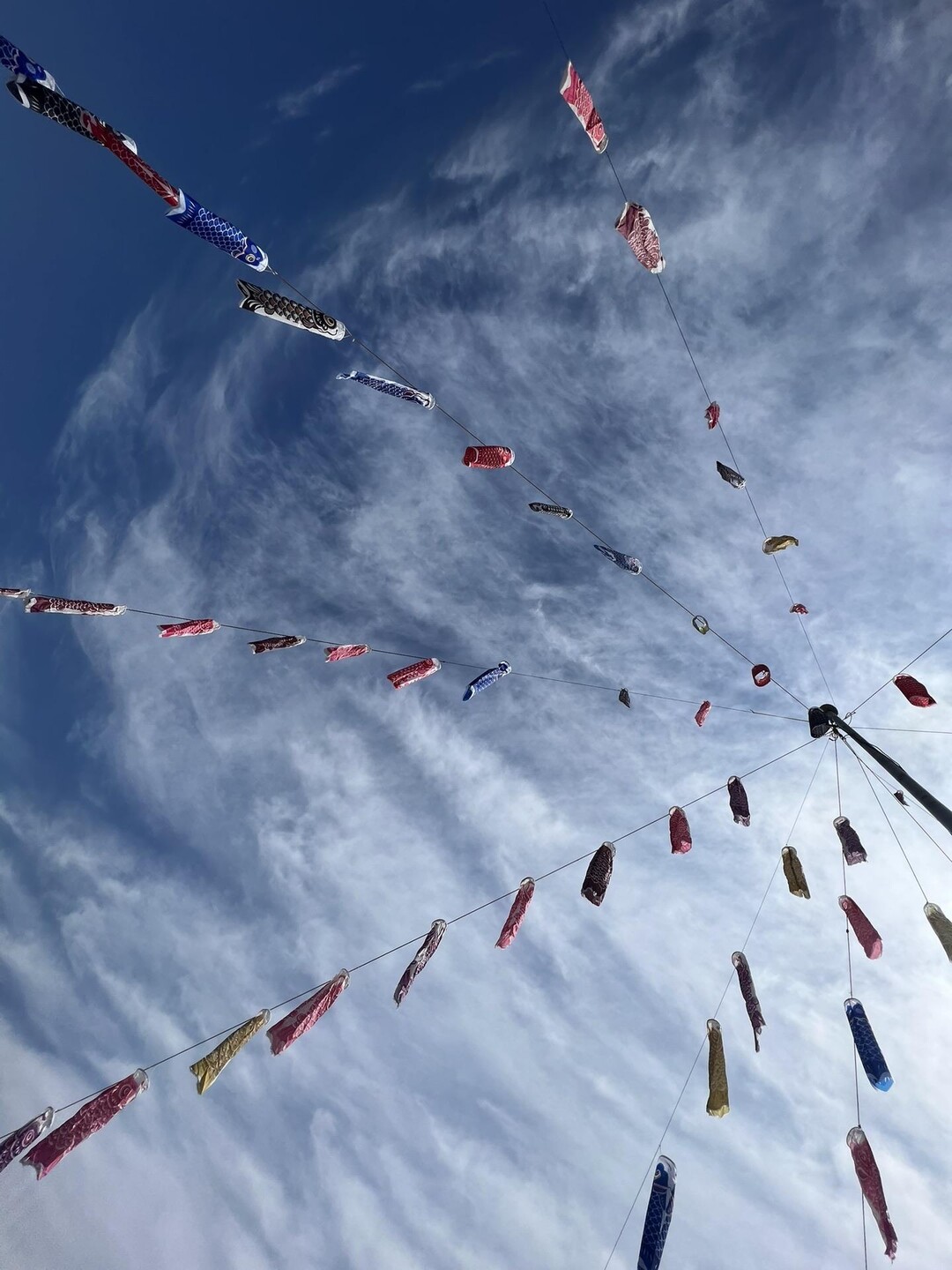 大平山 / motoyaさんの大平山・安見ヶ城山の活動データ | YAMAP / ヤマップ