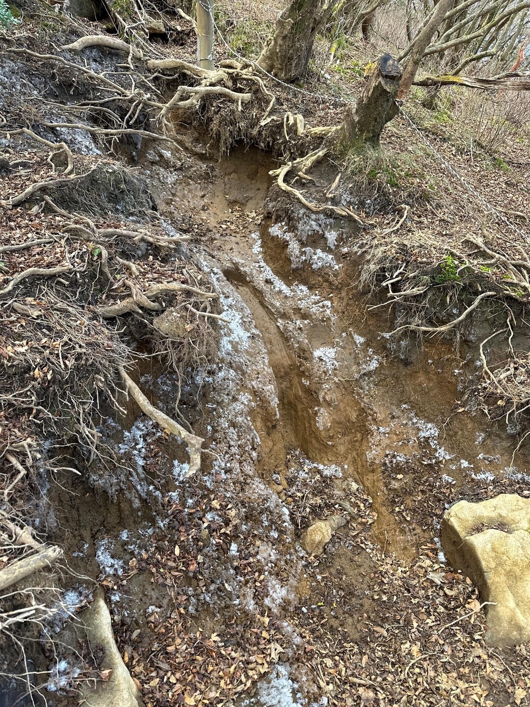 ansoさんの投稿したフィールドメモ | YAMAP / ヤマップ