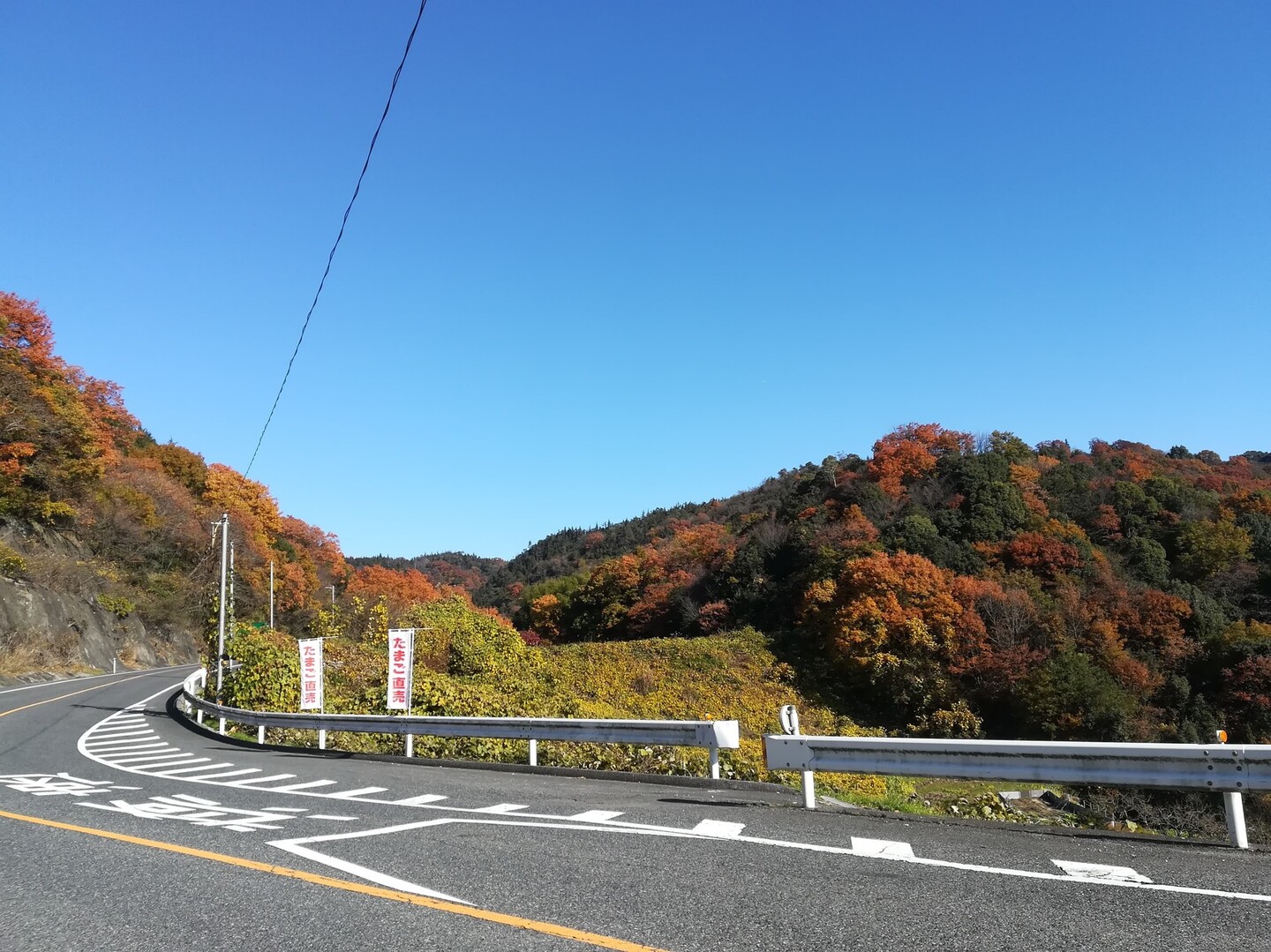 山だけどロード練習 / maryさんの遙照山の活動データ | YAMAP / ヤマップ