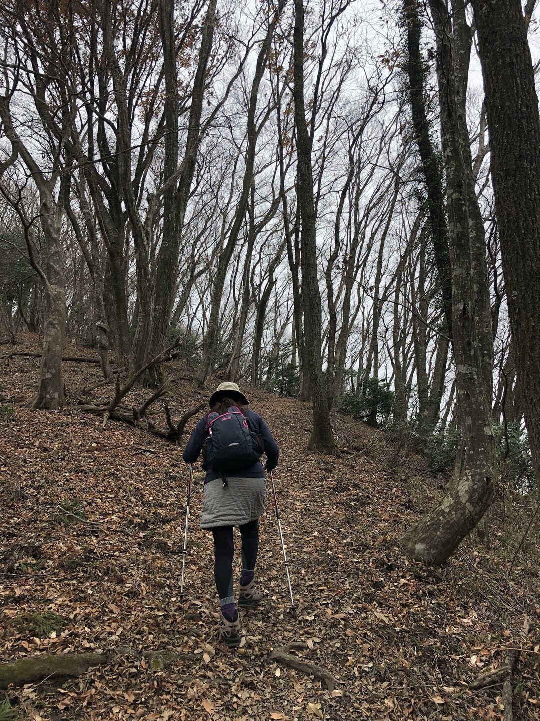 賤ヶ岳(ご飯食べに行く。晩秋編) / tomobuuさんの賤ヶ岳・山本山の活動データ | YAMAP / ヤマップ