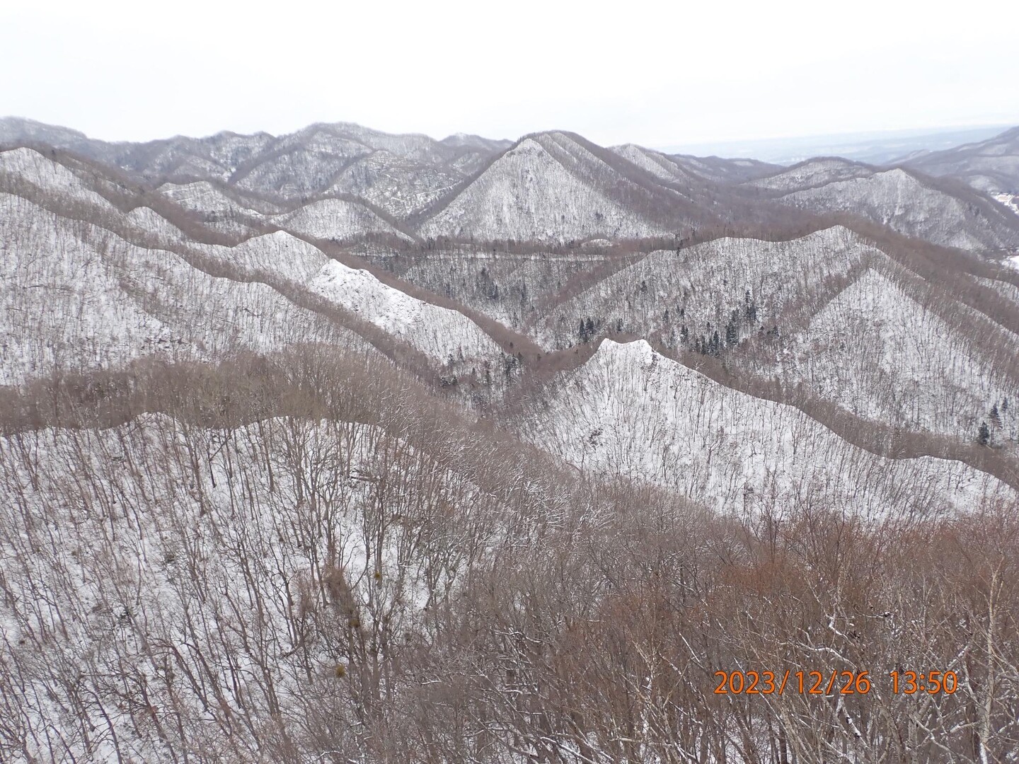 山納め グルリンコ / toto🎶さんの観音岩山（八剣山）の活動データ | YAMAP / ヤマップ