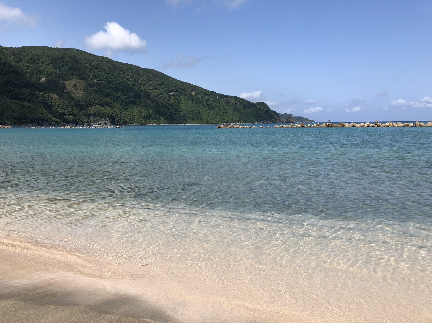 ビーチクリーン 海がめちゃ綺麗だー 青... / せなさんのモーメント | YAMAP / ヤマップ