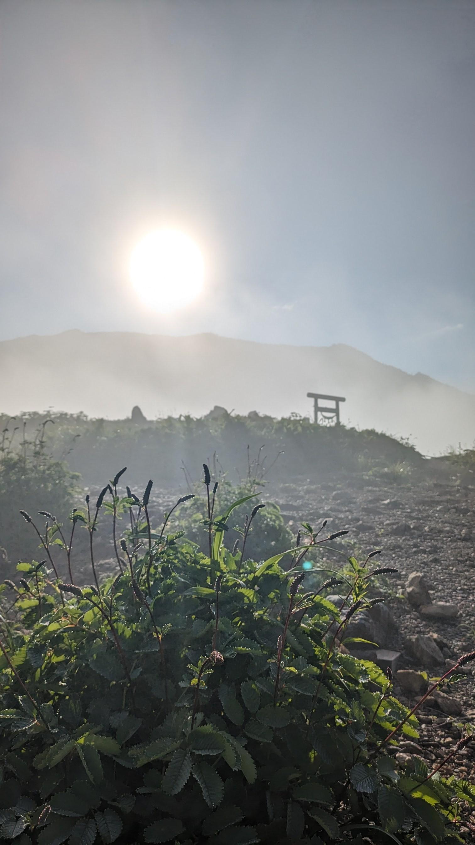 朝日岳の向こうから昇る☀とカライトソウ、... / じゅんさんのモーメント | YAMAP / ヤマップ