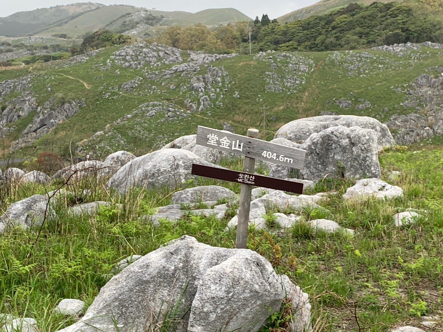 平尾台トレイルランニングレース-2024-04-20 / momoさんのトレイルランニングの活動データ | YAMAP / ヤマップ