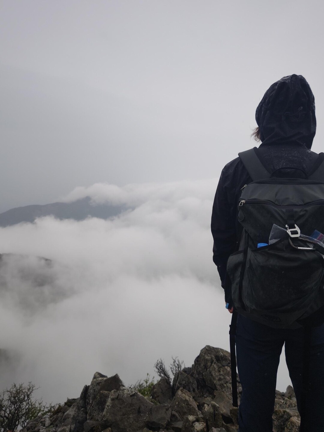 しとしとどろどろつるつる（藤原岳） / rnrさんの藤原岳・御池岳の活動データ | YAMAP / ヤマップ