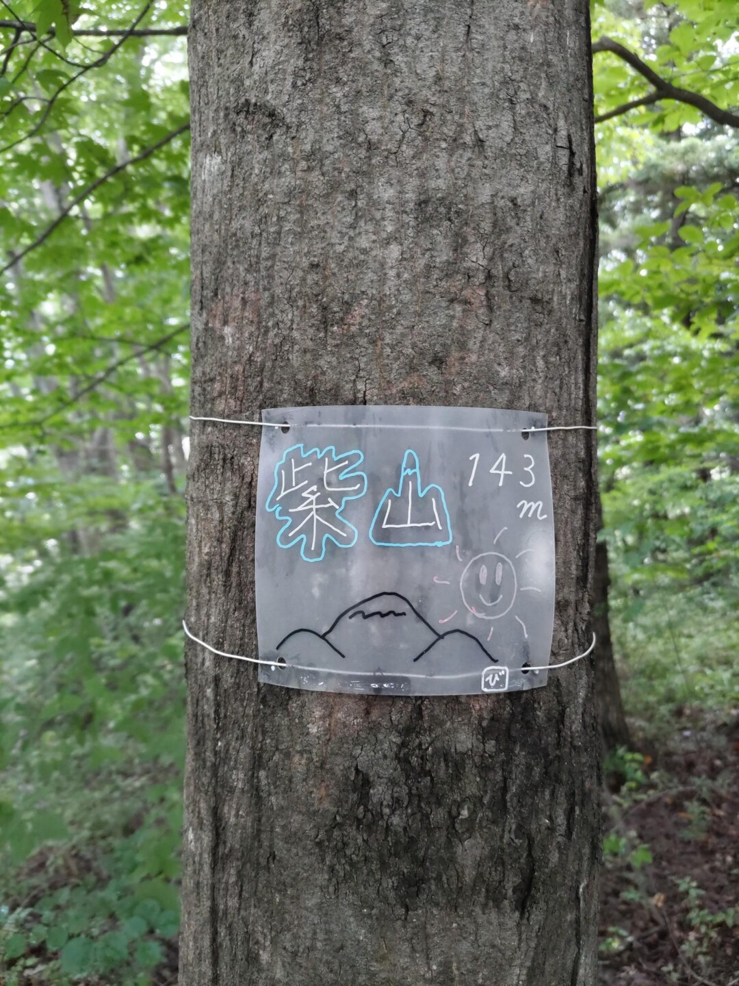 紫山 / Rioさんの七ツ森の活動データ | YAMAP / ヤマップ