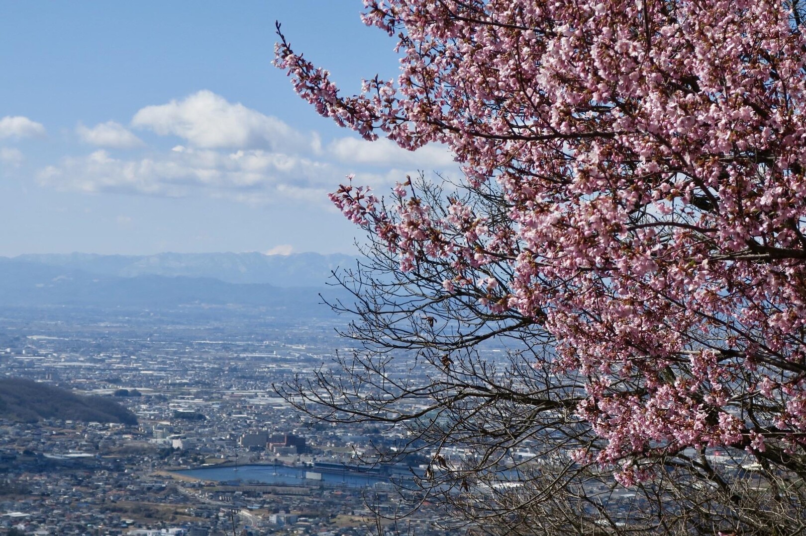 桐生アルプス 吾妻山・萱野山 / Yosshyさんの鳴神山・吾妻山の活動データ | YAMAP / ヤマップ