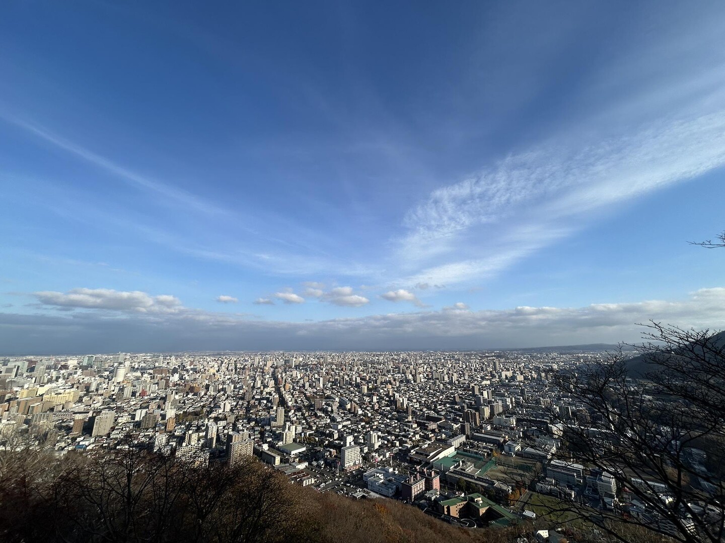 円山-1 / yuki_iroさんの藻岩山の活動データ | YAMAP / ヤマップ