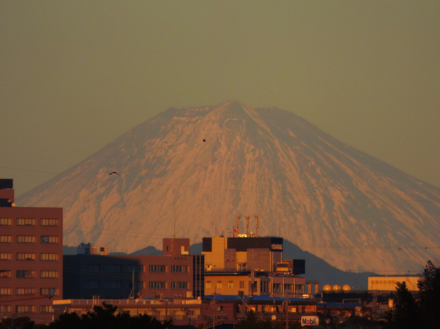 佐鳴湖 / のぶしさんの浜松市（中区・東区・南区・西区）の活動データ | YAMAP / ヤマップ