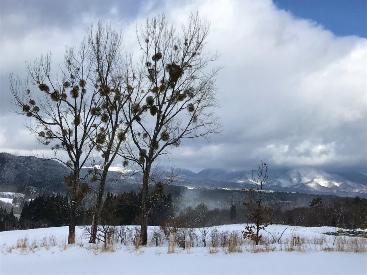 5年ぶりの⛷。蒜山のベアバレーは初めて。... / kazさんのモーメント | YAMAP / ヤマップ