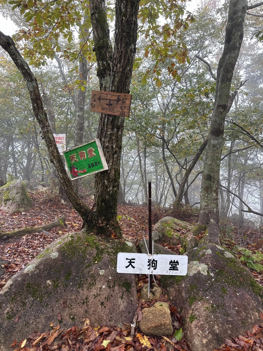 天狗堂 / Senさんの天狗堂の活動データ | YAMAP / ヤマップ