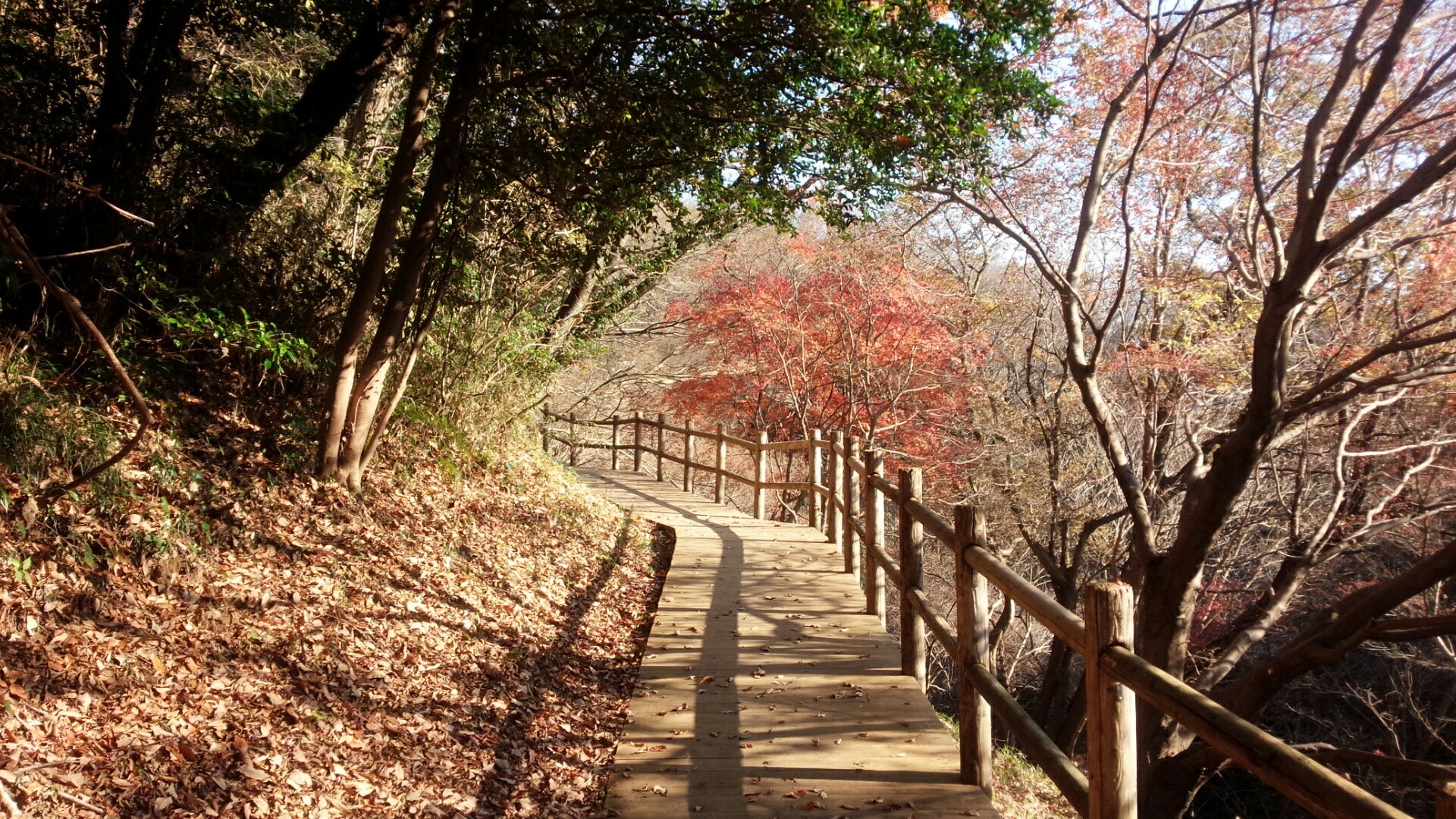 茨城県土浦市 朝日峠ハイキングコース / YASUTAさんの宝篋山・富岡山の活動データ | YAMAP / ヤマップ