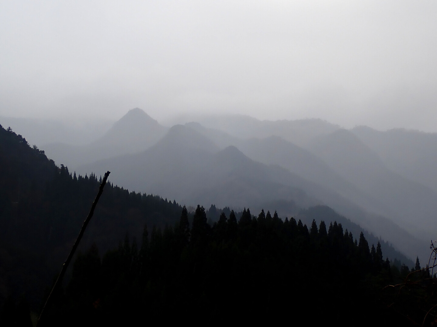 黒峰、トンギリ山（後編（笑））2019-12-16 / みさとさんの向坂山・三方山・天主山の活動データ | YAMAP / ヤマップ