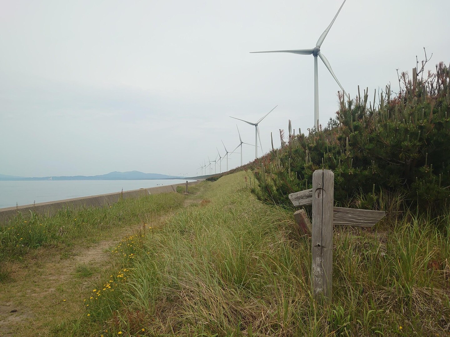 東北自然歩道秋田NO38 / aer0ckさんのウォーキングの活動データ | YAMAP / ヤマップ