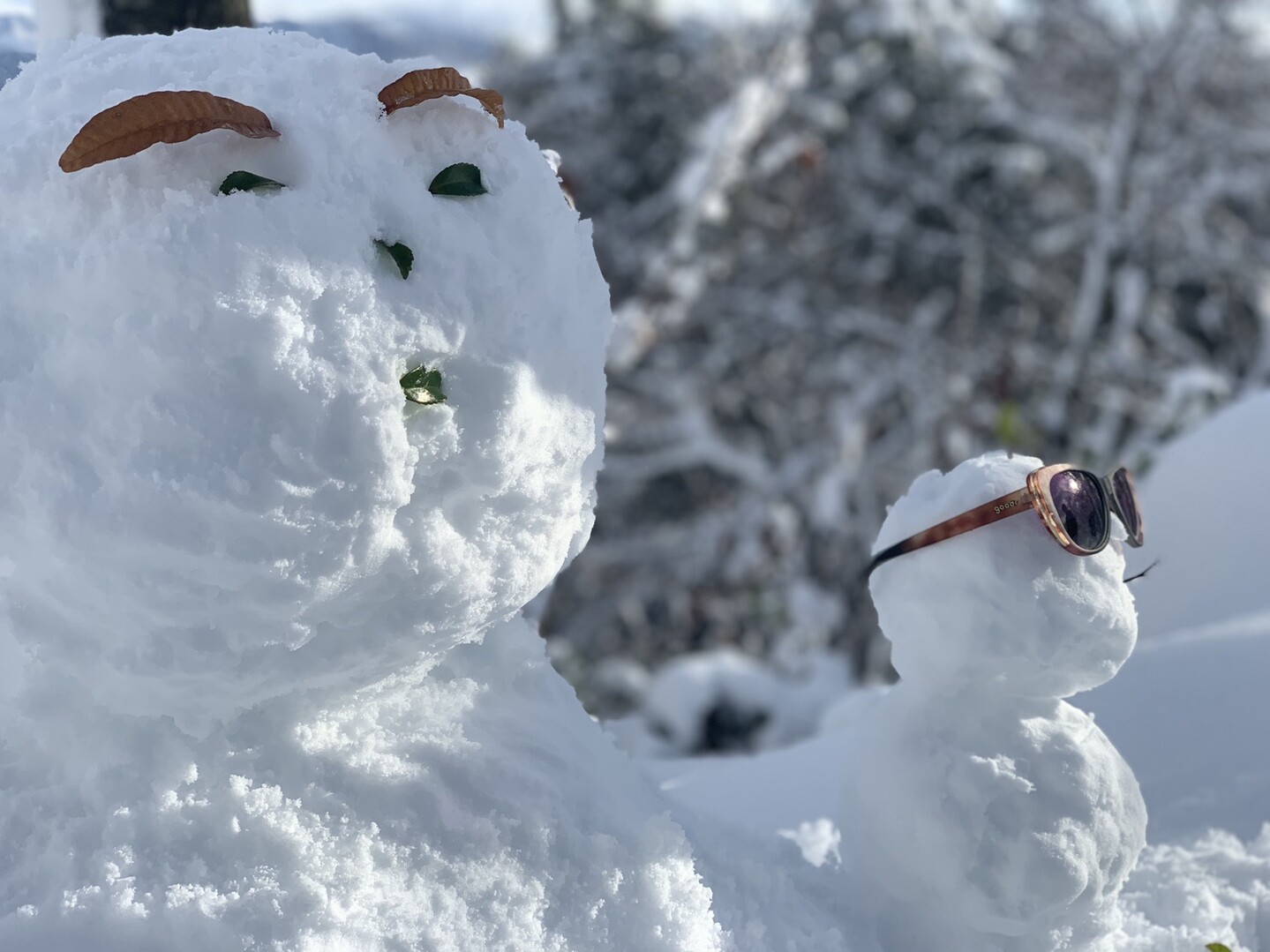 雪だるま造り in 文殊山 ︎☃️ / zumi☆さんの文殊山の活動データ | YAMAP / ヤマップ