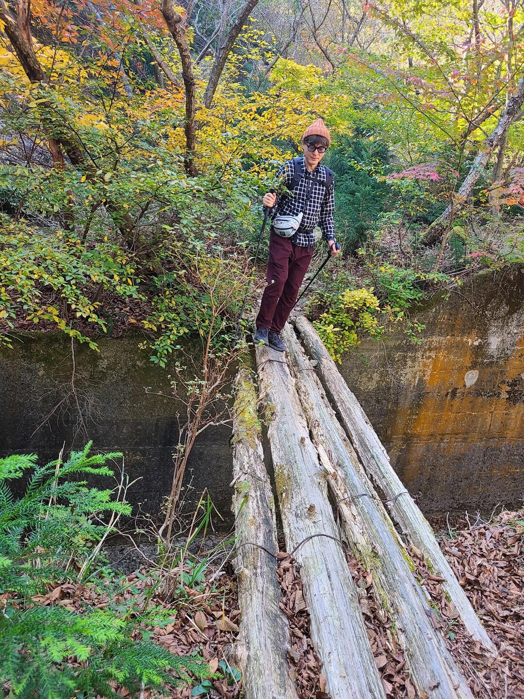 tatubaiさんの投稿したフィールドメモ | YAMAP / ヤマップ