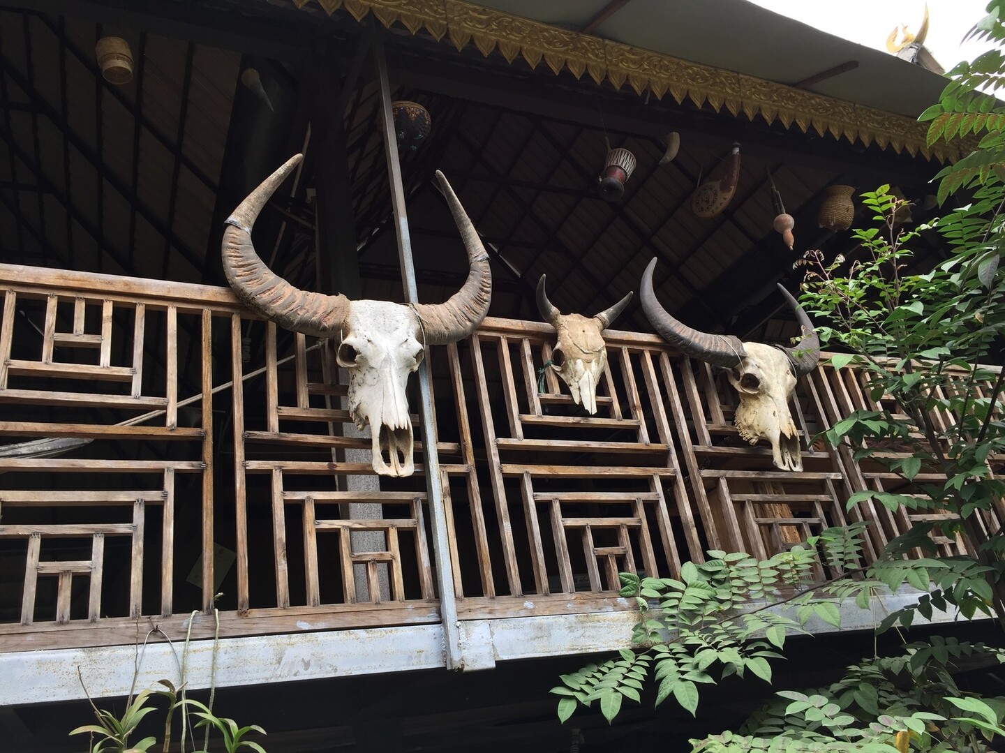 20171211 西双版納傣族園 / Eno-chanさんの広州市の活動日記 | YAMAP / ヤマップ