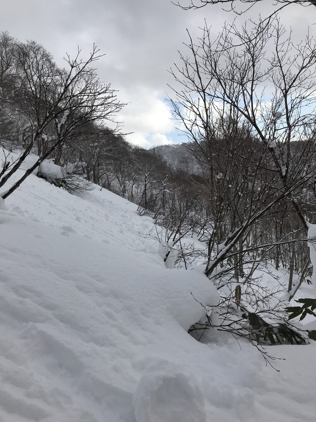 ニト / satokenさんのニセコアンヌプリ・イワオヌプリ・チセヌプリの活動データ | YAMAP / ヤマップ