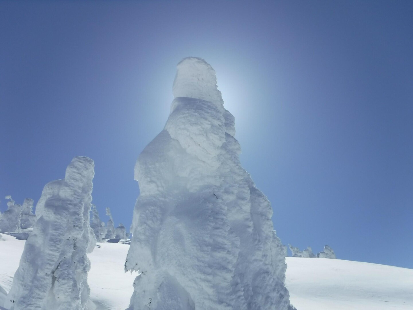 2023_0305_てんくらAAA森吉山BC / bakkyさんの森吉山の活動データ | YAMAP / ヤマップ