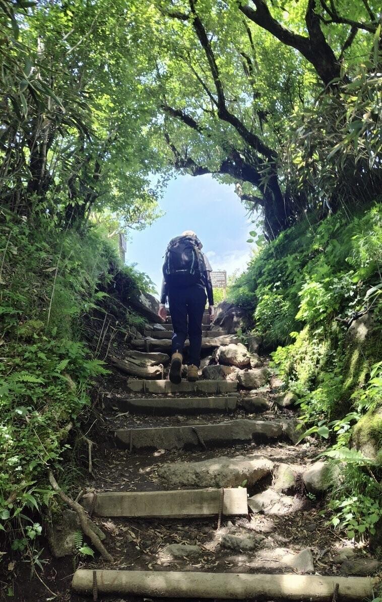 chocoのページ | YAMAP / ヤマップ