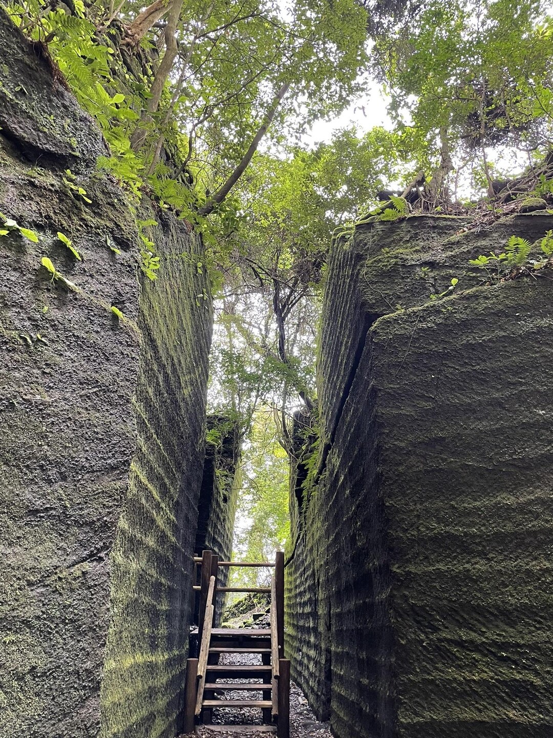 鋸山 / micoさんの鋸山の活動データ | YAMAP / ヤマップ