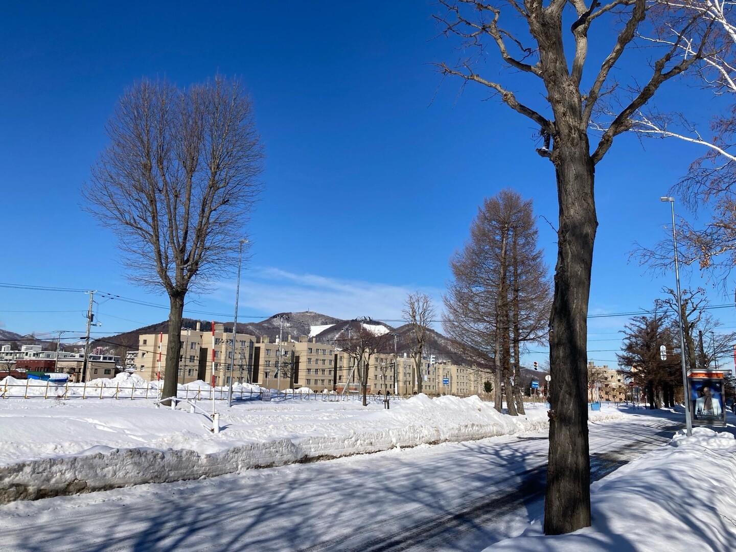 家から藻岩山。。アレから1年。 / 2525さんの藻岩山の活動日記へのコメント一覧 | YAMAP / ヤマップ