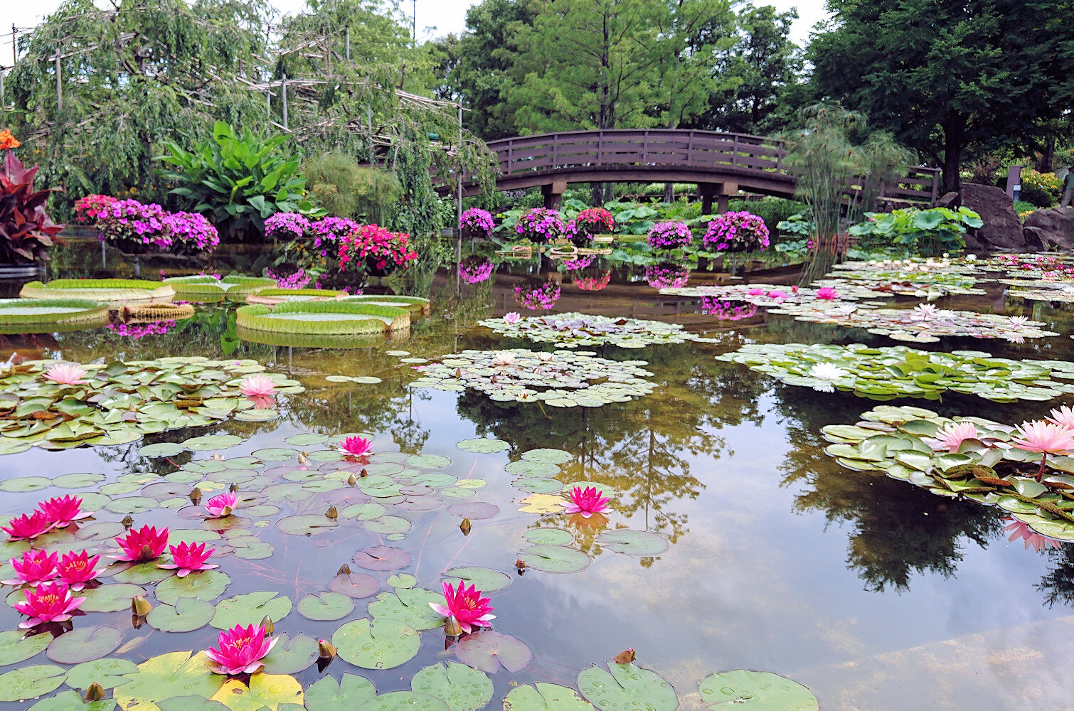 みずの森公園散策 / yuuさんの登山の活動データ | YAMAP / ヤマップ