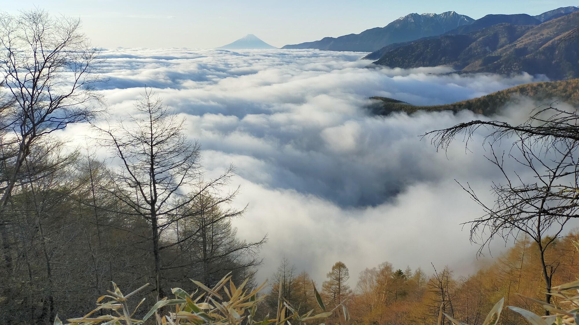 雨乞岳でモーニング食べにハイキング / OFFICE 岳さんの雨乞岳の活動データ | YAMAP / ヤマップ