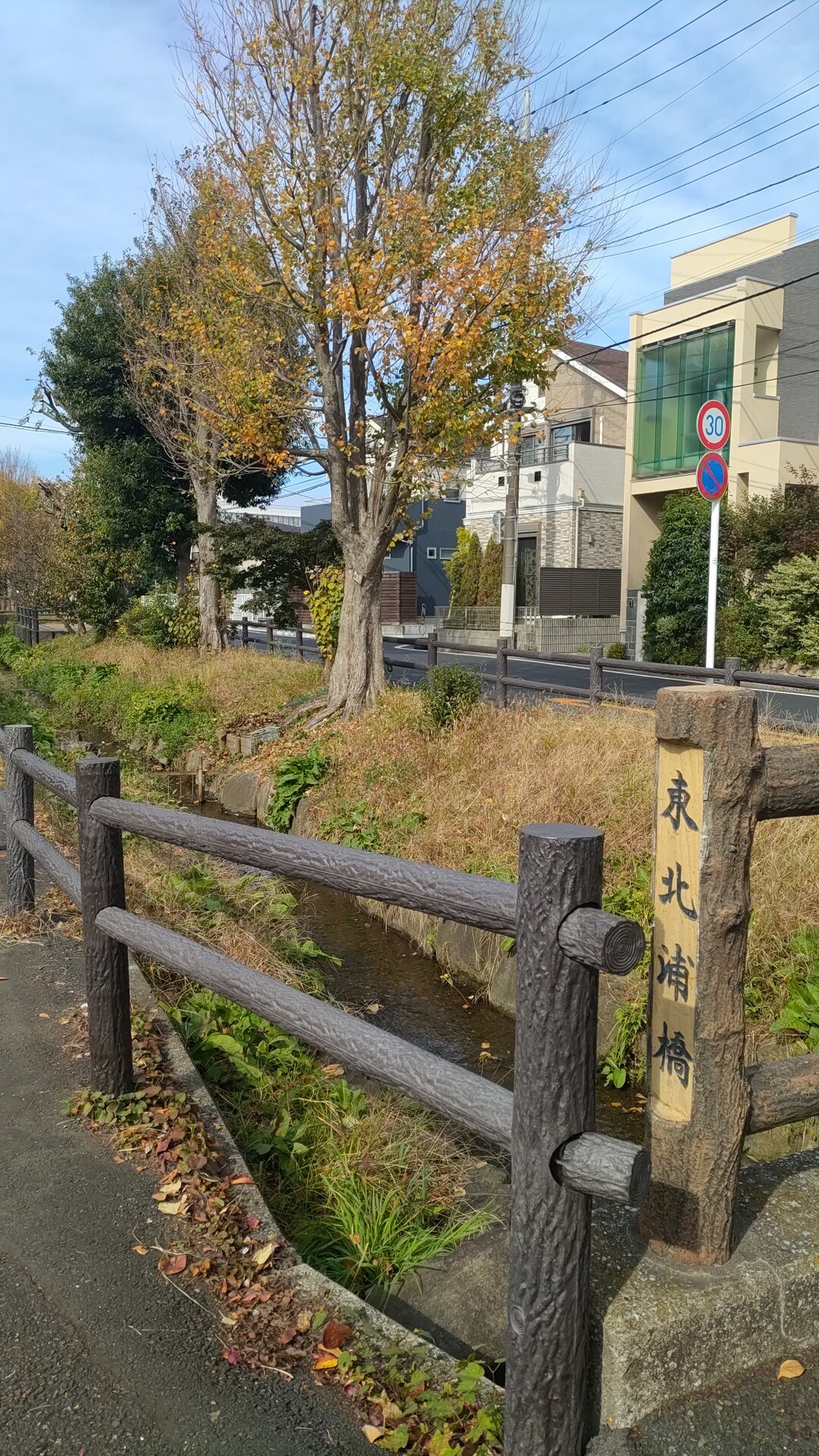 TWA 第56回 井の頭自然ウォーク “自然とのふれあいを楽しみに” / 釋称念（しゃくしょうねん）さんのウォーキングの活動日記 | YAMAP / ヤマップ