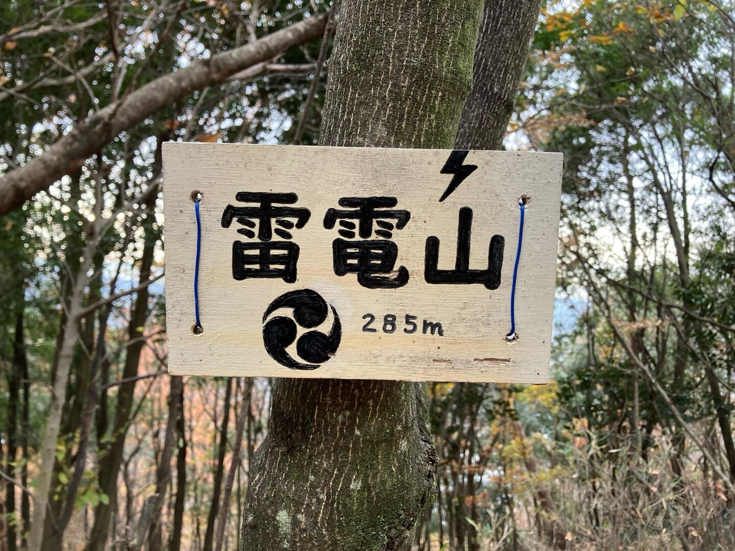 ガッチン山・雷電山・観音山・一色山 / REI - KOさんの鳴神山・吾妻山の活動データ | YAMAP / ヤマップ