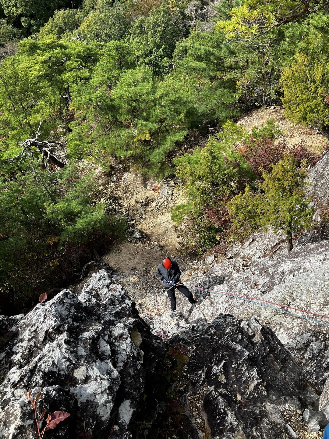 時は遡ること、いつ頃かや 懸垂下降と、... / shouさんのモーメント | YAMAP / ヤマップ
